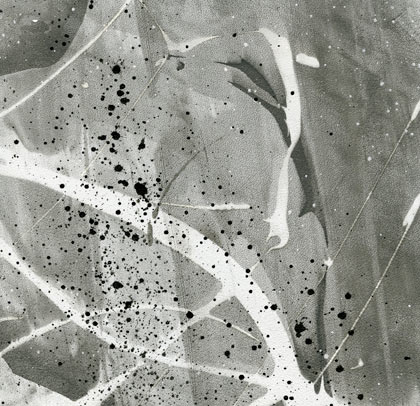 Abstract Art Leather - Townsend Leather